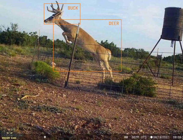 WiseEye DataCam - Wise Eye Data Cam